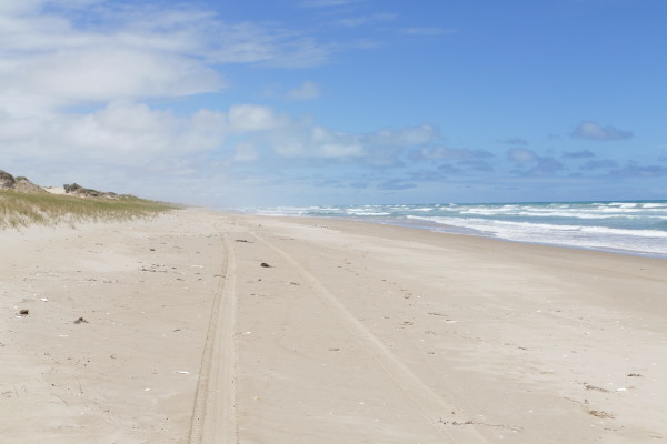 Mundoo Island Station Environment Photos & Videos - Mundoo Island Station