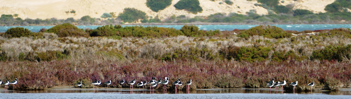 Mundoo Island Station Environment Photos & Videos - Mundoo Island Station